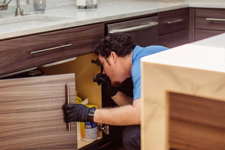 How to Get Rid of Waterbug – 4 Simple but Highly Effective Ways